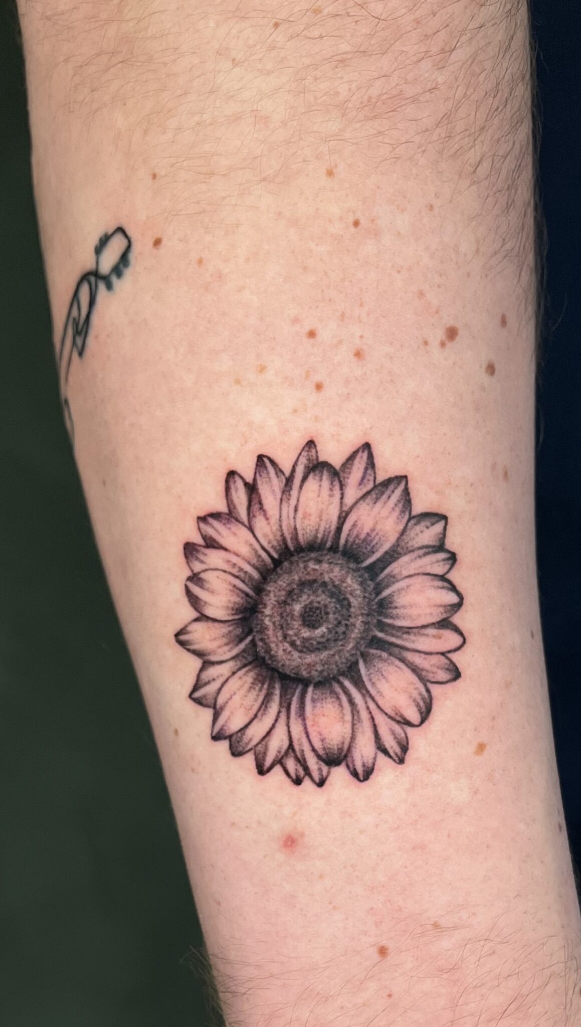 Tatoveringer med Betydning - Street Tattoo