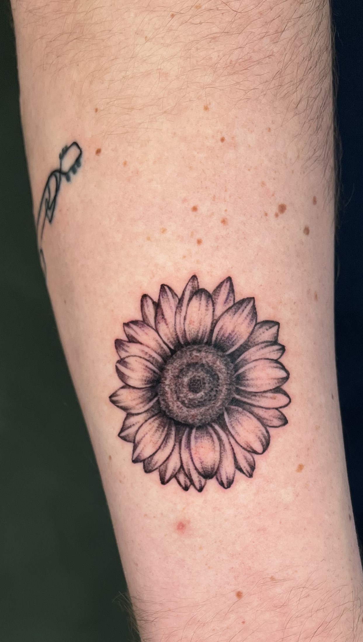 Små tatoveringer - Street Tattoo
